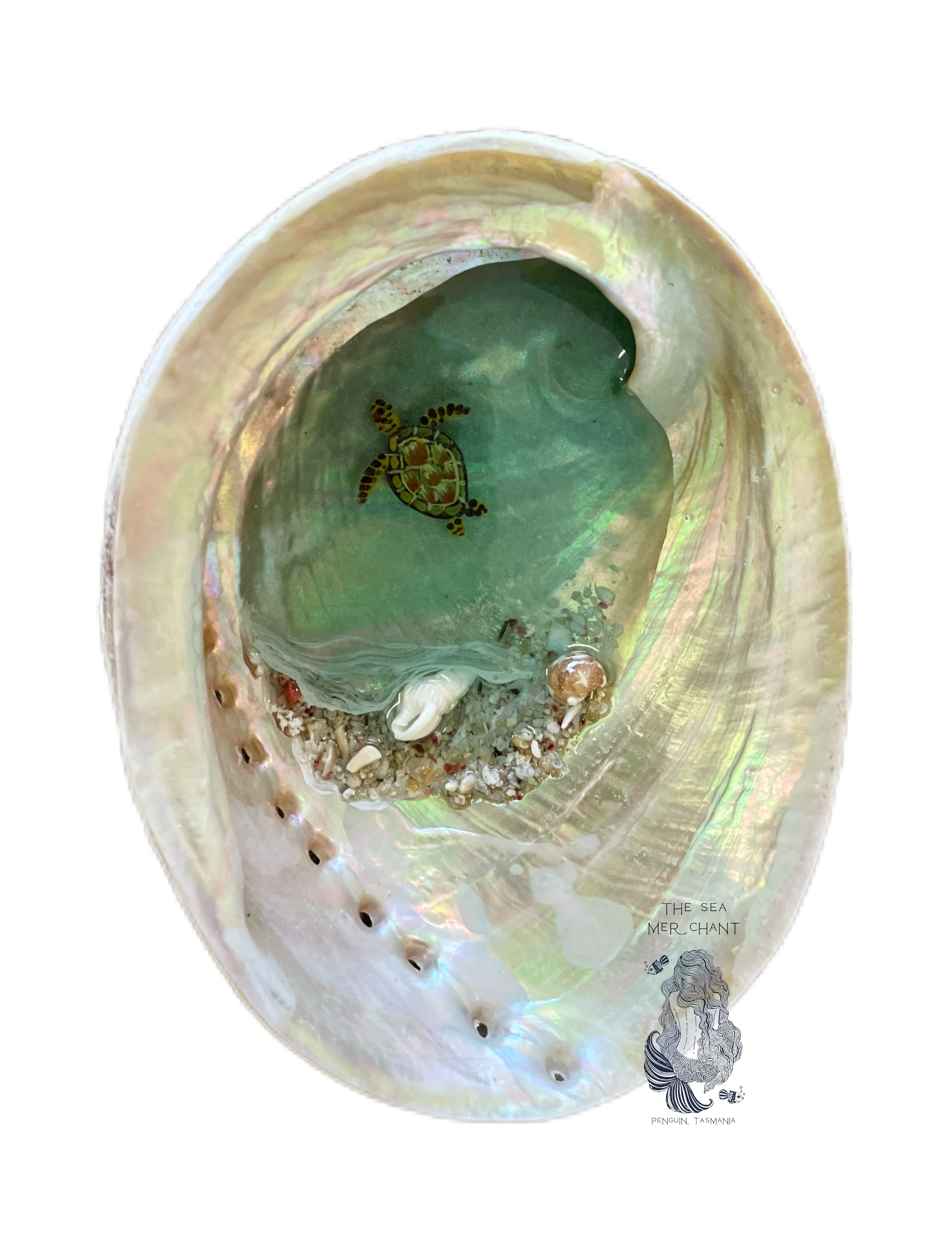 Hand painted Abalone Shells – The Sea Merchant